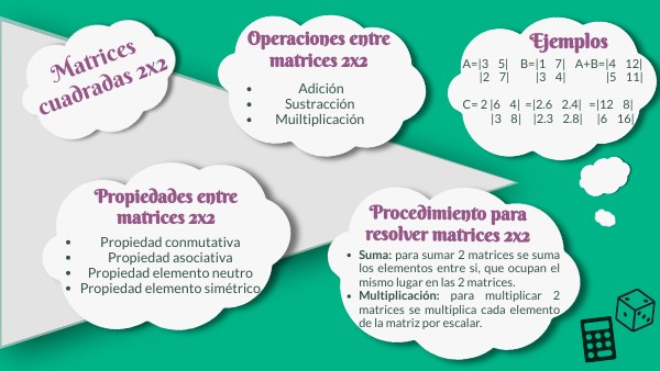 ORGANIZADOR GRÁFICO MATEMÁTICA