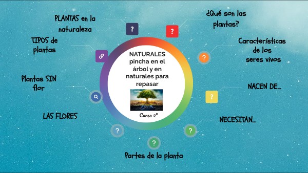 Las plantas | Genially