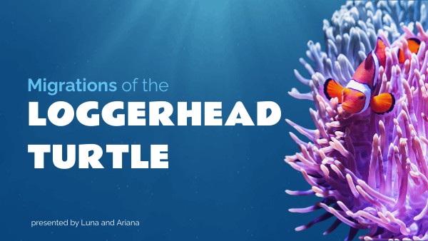 Luna and Ariana - Loggerhead Turtles | Genially