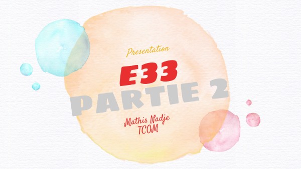 E33