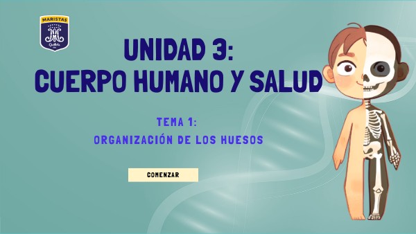 Unidad 3: El cuerpo humano.
