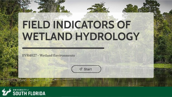 evr4027_m2.3_field indicators of wetland hydrology | Genially