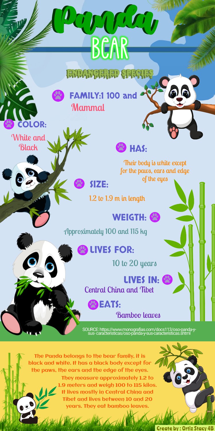 PANDA BEARS | Genially
