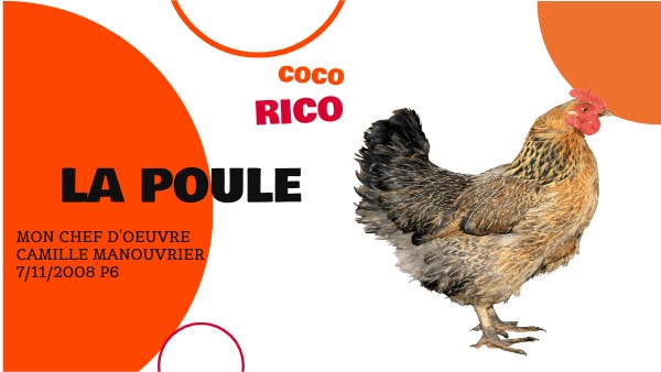 poule