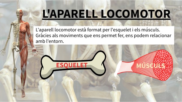 L'APARELL LOCOMOTOR | Genially