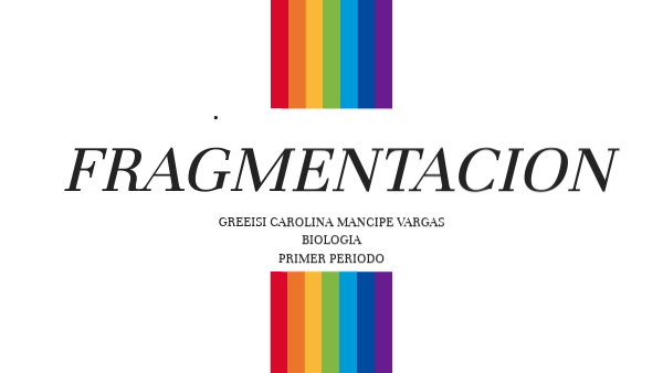 FRAGMENTACION