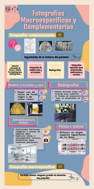 Fotografías Macroespecifícas y Complementarias | Genially