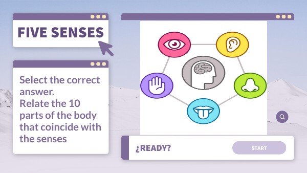 QUIZ FIVE SENSES | Genially