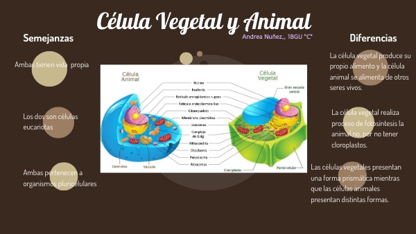 unidad 3,, semana 2/evidencia 2