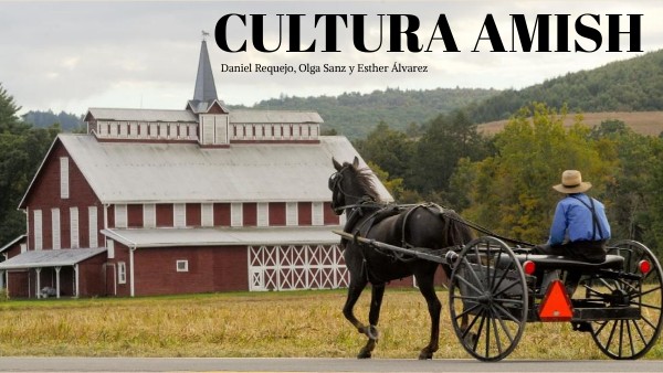 AMISH