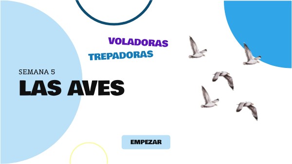 Aves