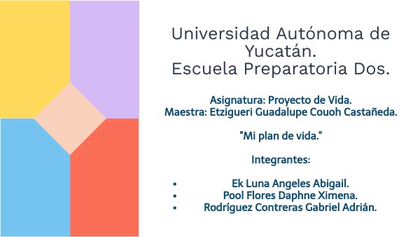 Mi plan de vida