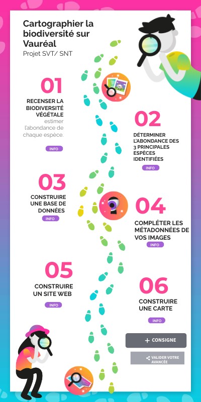 Un projet SVT/SNT sur la biodiversité