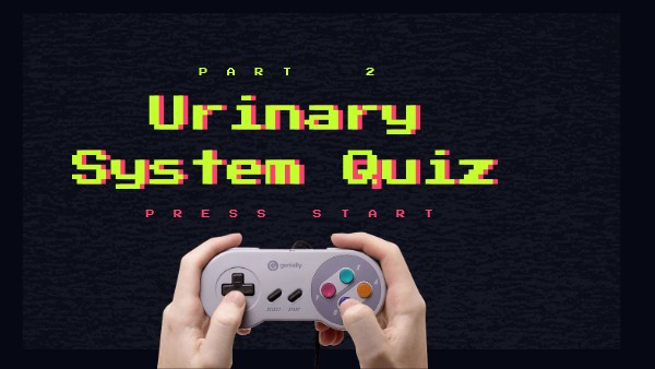 Urinary system part 2 Videogame | Genially