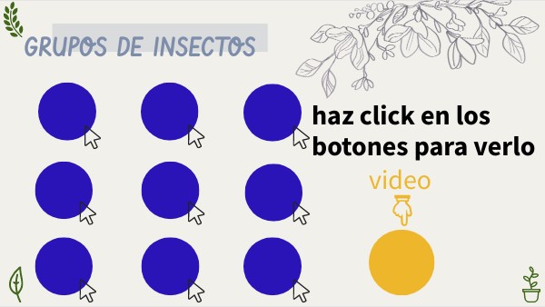 clasificación de lo insectos | Genially