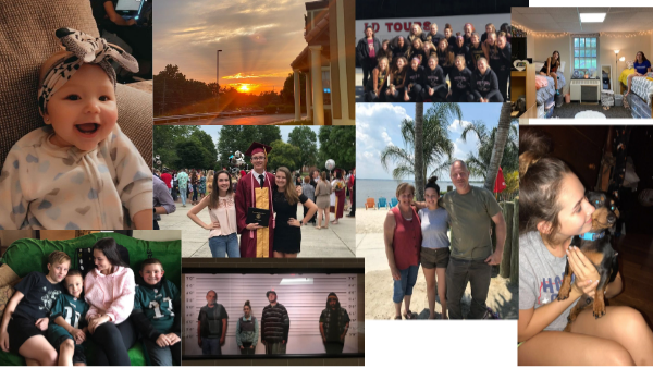 All About Me: Hayley Wright