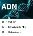ADN | Genially