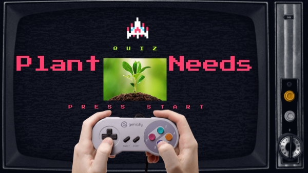 PLANTS NEEDS QUIZ