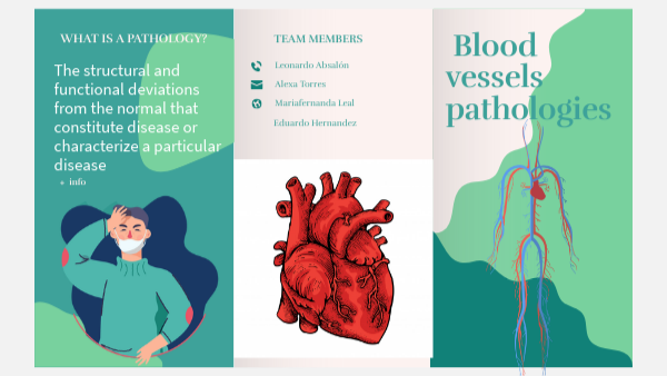 Blood vessels pathologies | Genially
