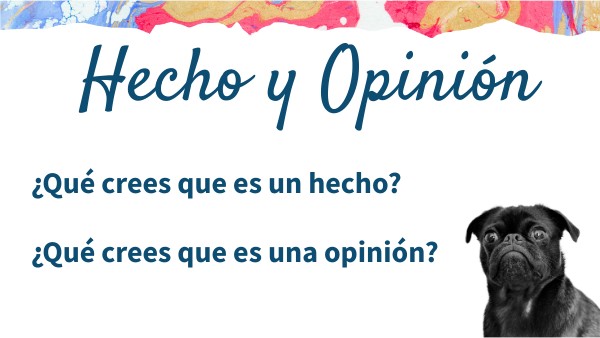 Hecho y Opinión