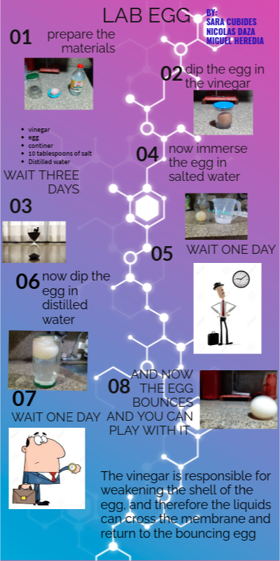 the lab egg