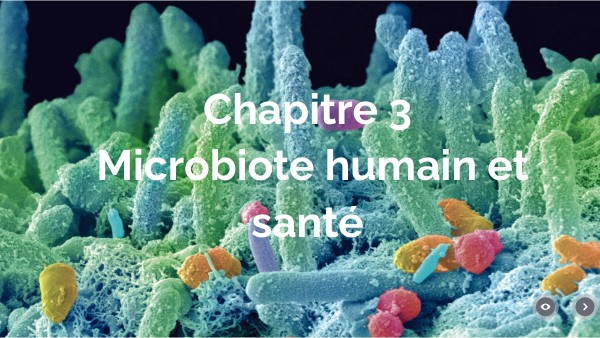- Microbiote et santé 2023 | Genially