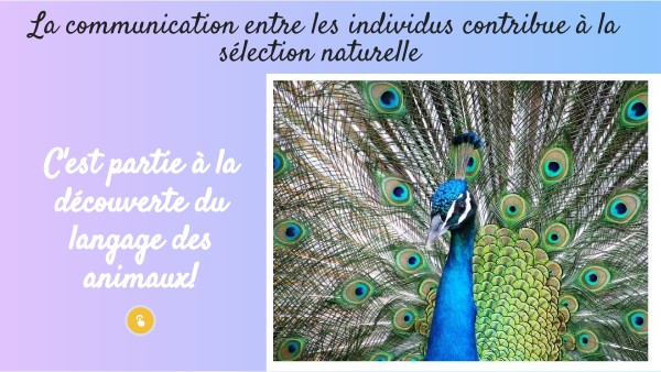 Communication Animale et sélection sexuelle | Genially