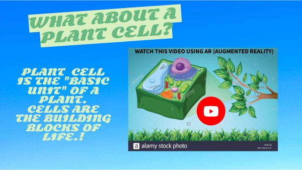 CLIL SCIENCE - THE PLANT CELL