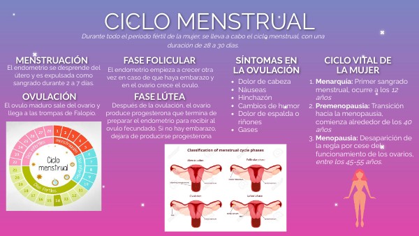 Ciclo menstrual | Genially