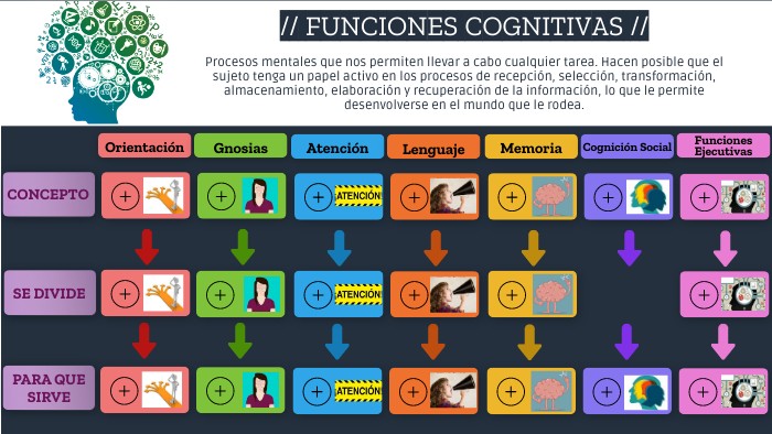 Semana 16 - Funciones Cognitivas