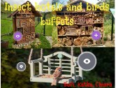 Insect hotels and bird buffets | Genially