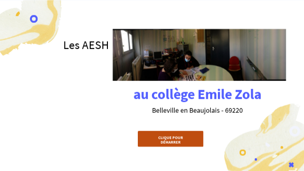 les aesh du collège