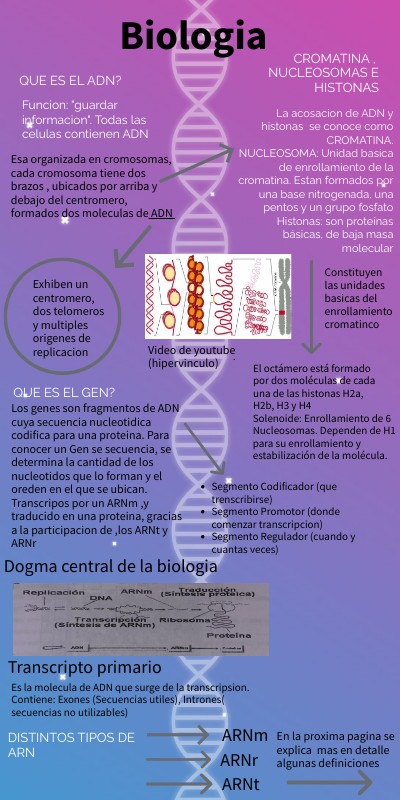 Biologia- Empaquetamiento del adn | Genially