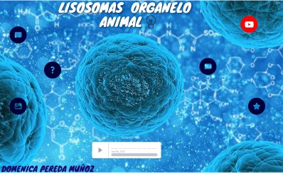 Lisosomas