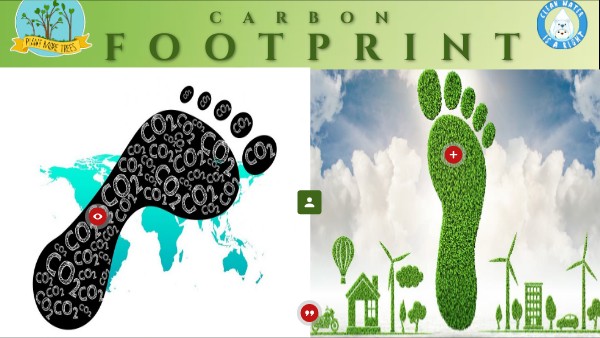 Carbon footprint