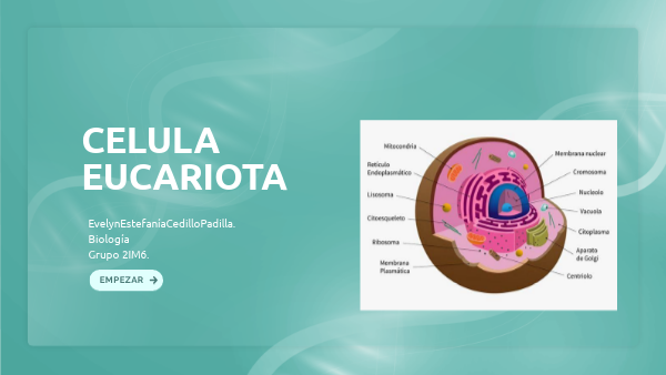 PRESENTACIÓN CELULA EUCARIOTA | Genially