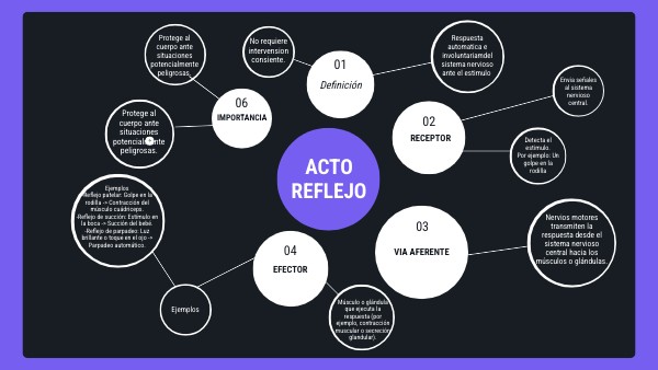 Mapa conceptual circular | Genially