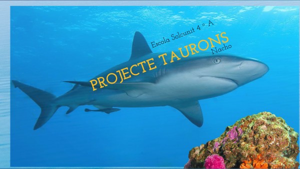 Projecte taurons | Genially