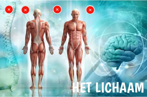 GOTD_het lichaam_start | Genially