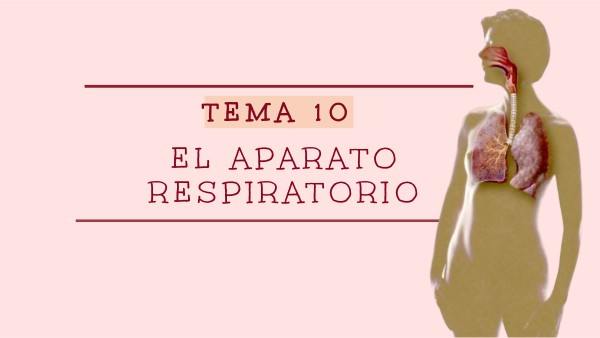 Tema 10 ap. respiratorio TBE | Genially