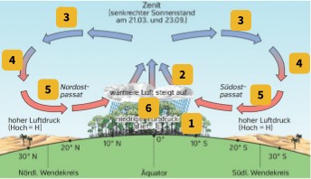 Hadley-Zelle | Genially