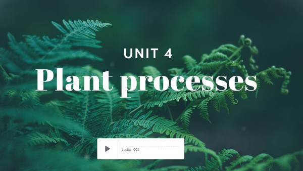 UNIT 4. 1: PHOTOSYNTHESIS | Genially