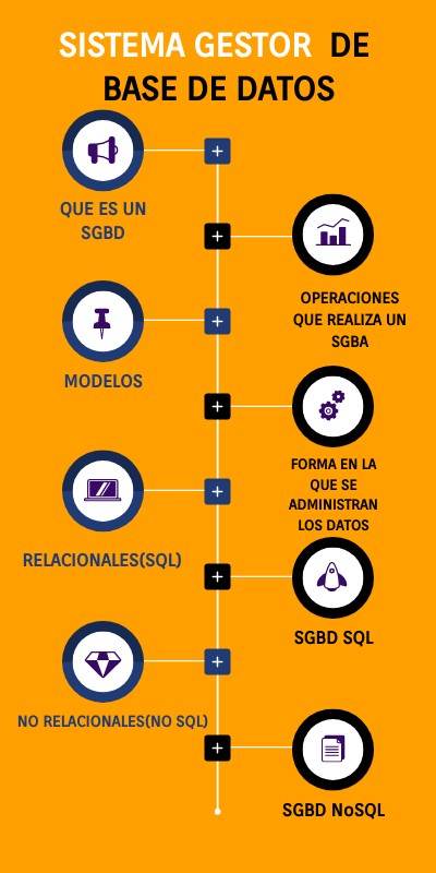 Sistema gestor de base de datos