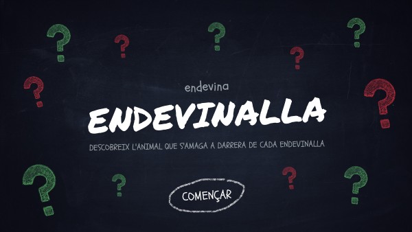 ENDEVINALLES ANIMALS P5 | Genially