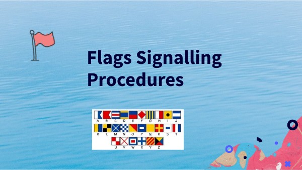 Flags signalling procedures
