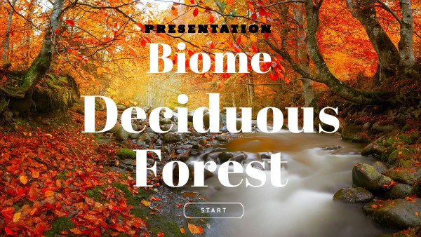 Presentation Deciduous Forest
