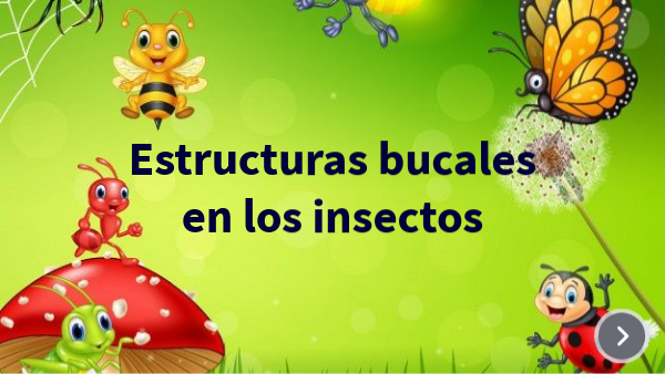 La ingestión: La diversidad de estructuras bucales en los insectos | Genially