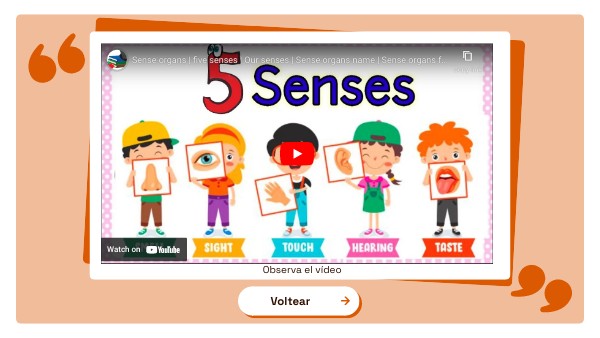 THE 5 SENSES | Genially
