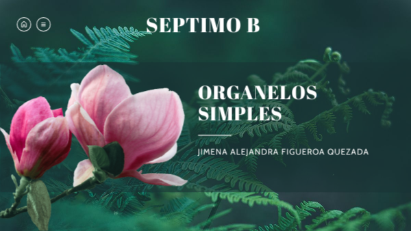 INTEGRADORA BIOLOGIA