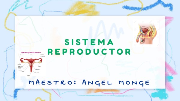 Sistema Reproductor | Genially